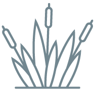 Menus - The Trigger Pond